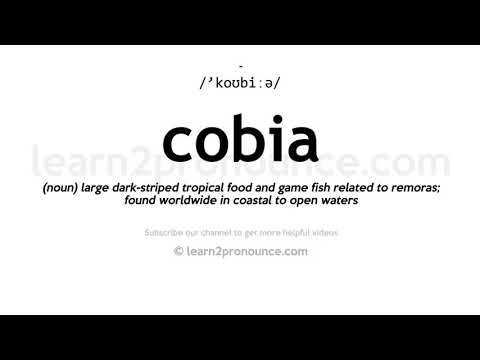 How to pronounce Cobia | English pronunciation