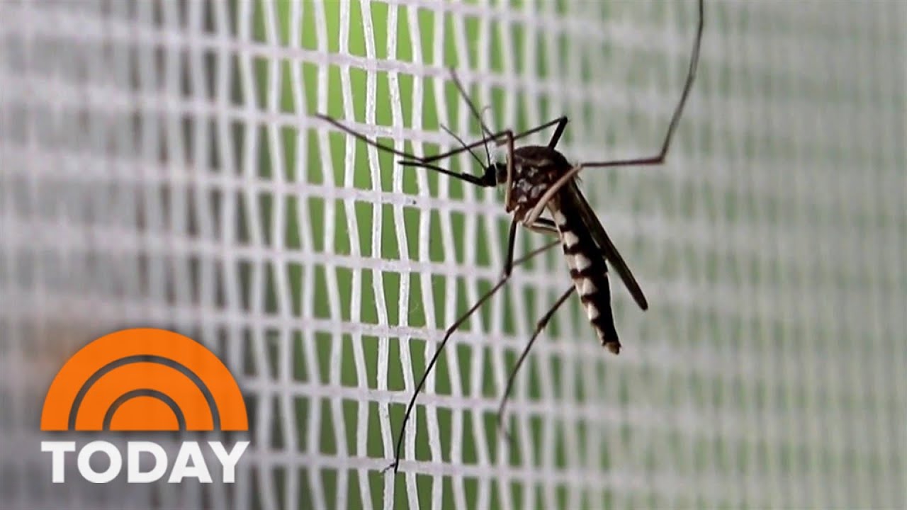 CDC confirms five cases of malaria in the US in 2 months