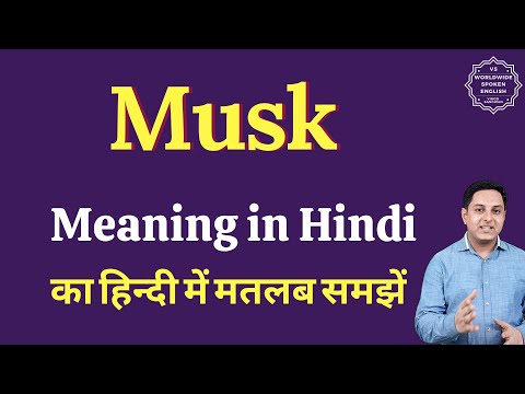 Musk meaning in Hindi | Musk ka kya matlab hota hai | Spoken English Class