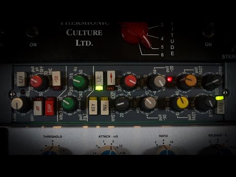 Neve Prism VRack Late 1980s to early 1990s - Grey | Reverb