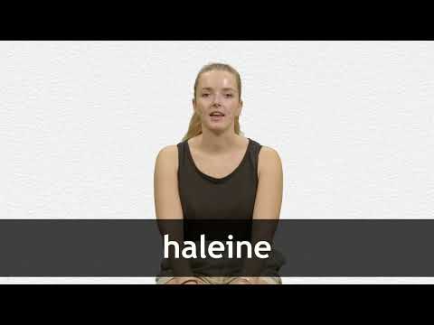 English Translation of “HALEINE” | Collins French-English Dictionary