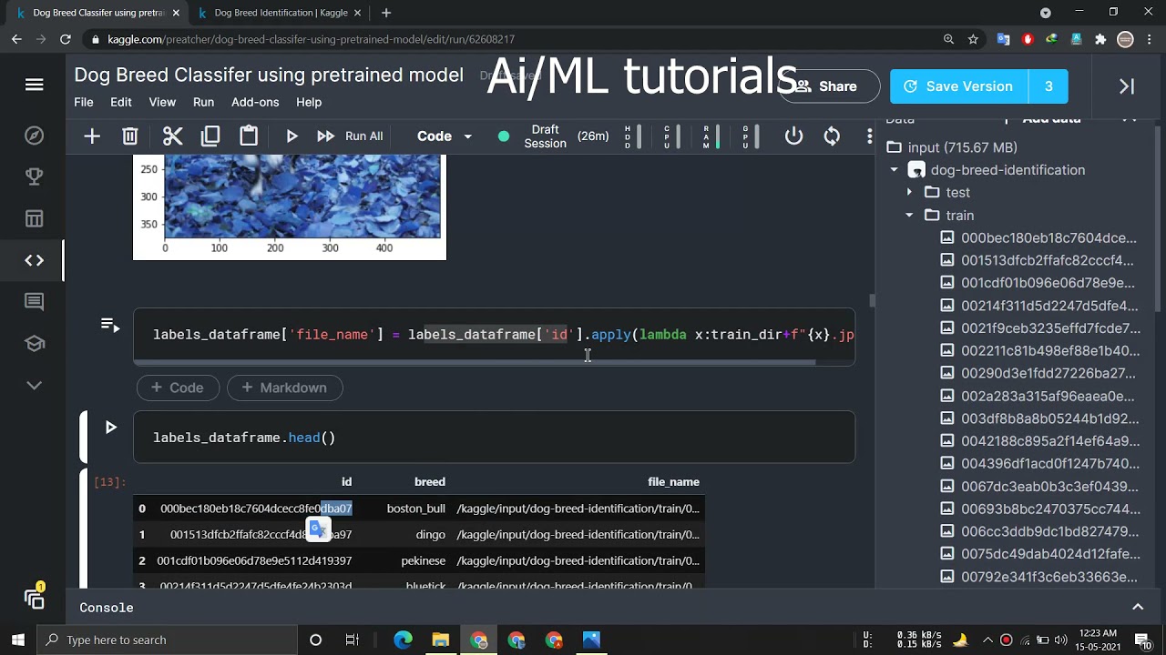 Dog Breed Classifier | Stacked Pretrained Model | 95% accurate