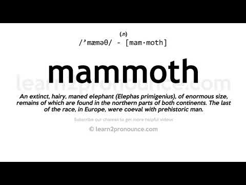 Pronunciation of Mammoth | Definition of Mammoth