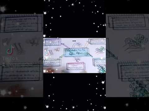 mapa mental, ✨, ❤️, fácil 😜