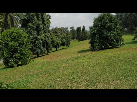 Putrajaya Botanic Garden, Malaysia
