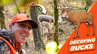 SEEK ONE | An Urban Hunting Community | Bowhunting Videos, Gear, Merch ...