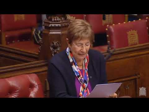 Highlight of the Lords debate on 'No Deal' report