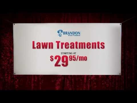 Brandon Pest Control - Lawn Treatments (B)