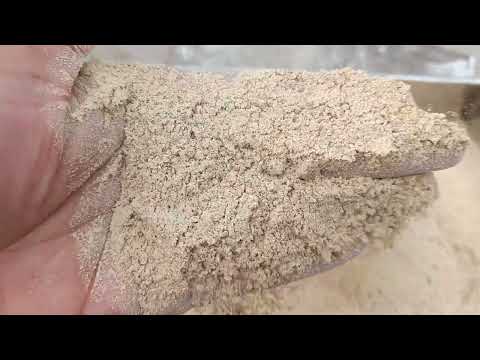 Quinoa - Wholesale Price & Mandi Rate for Quinoa