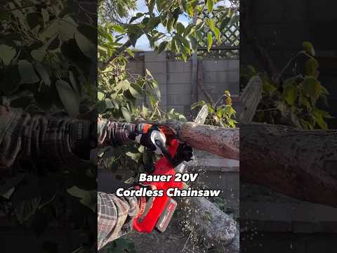Bauer 20V Cordless 10" Chainsaw | Harbor Freight
