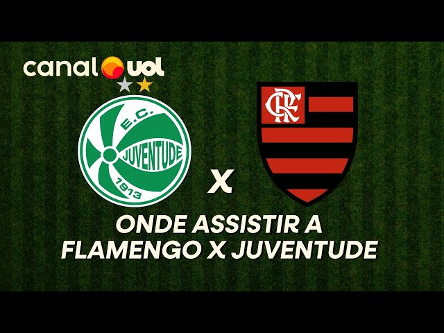 Jogo do Flamengo hoje (14) pelo Brasileirão: onde assistir ao vivo