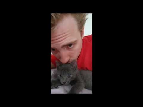 Steam Community :: Video :: HUNG JEEZY - michaes cats .MPEG