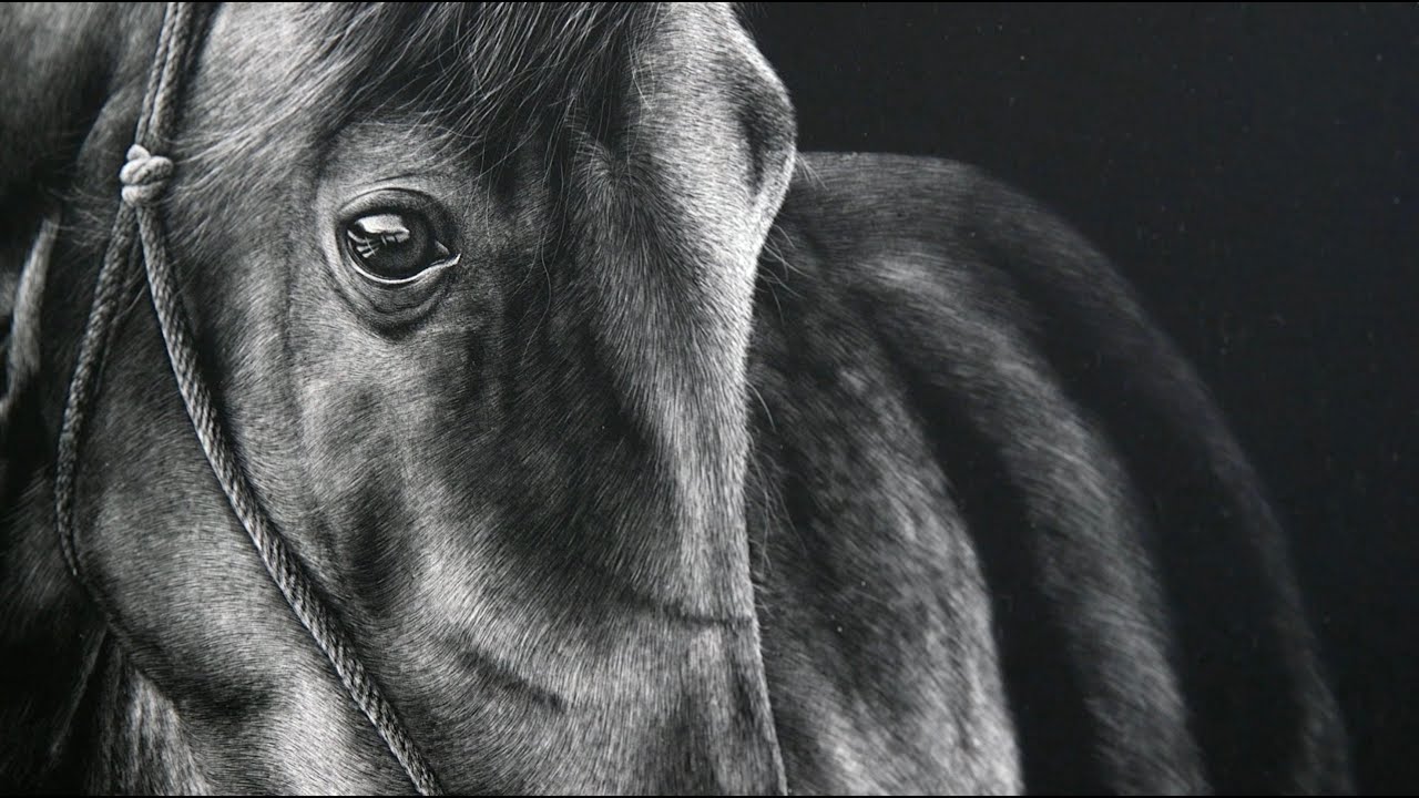 Meet the Artist: Melissa Helene Bossenbroek