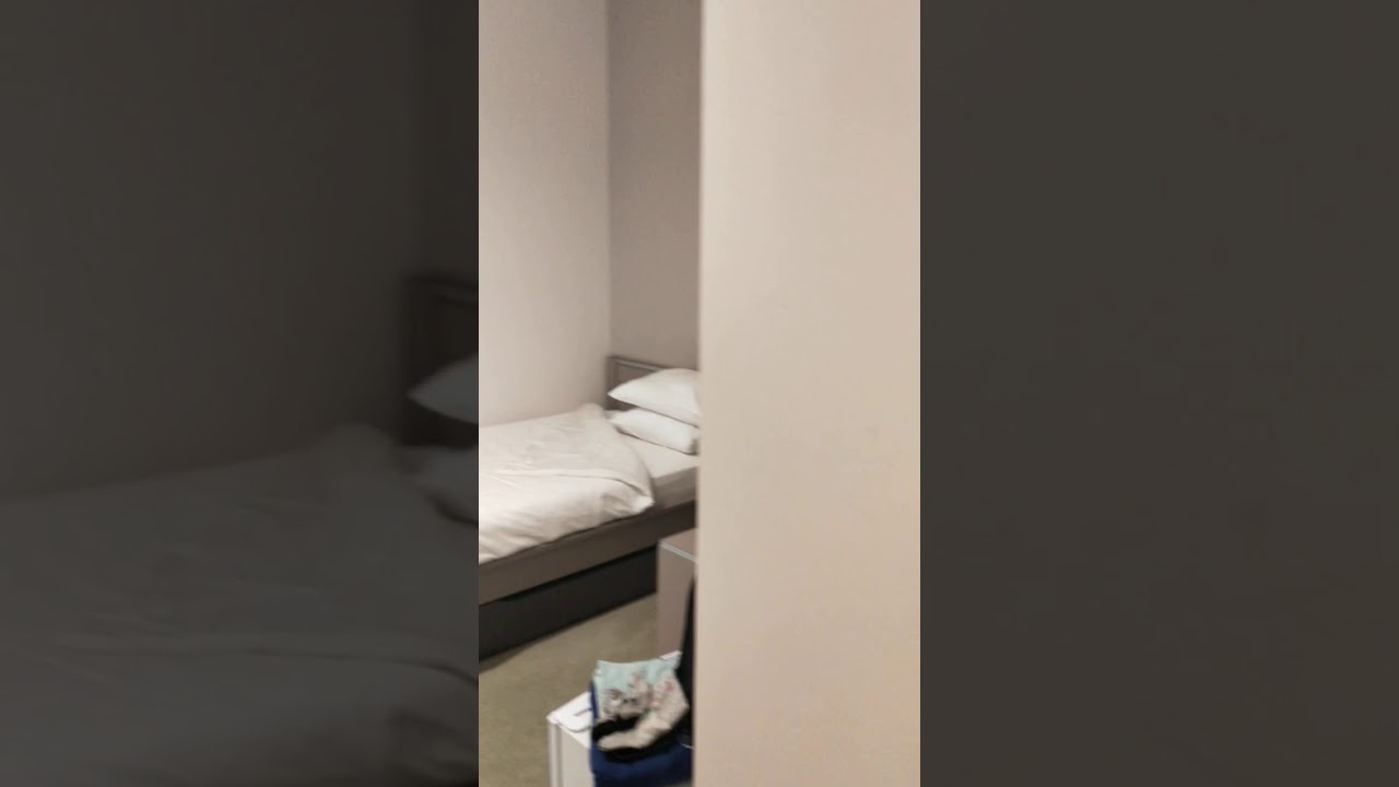 How is the Accommodation at Oman site How is the room looks from inside #shorts