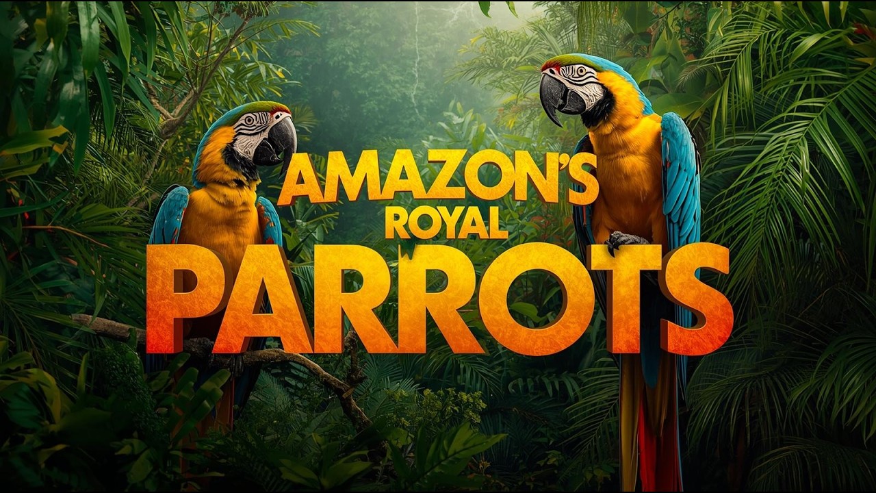 Macaws: The Rainbow Guardians of the Amazon 🌈🦜