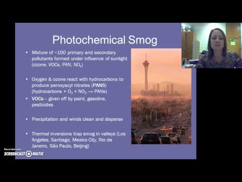 Ambient Air Pollution