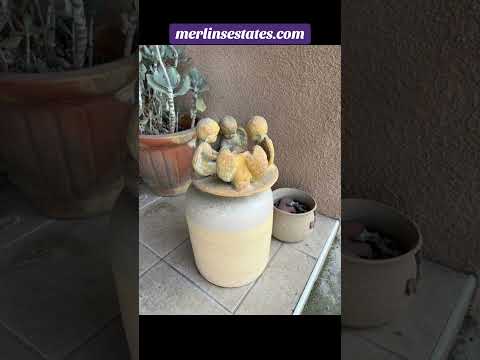Merlin's Estate Sale near Fruit & Dakota 5/2 & 5/3