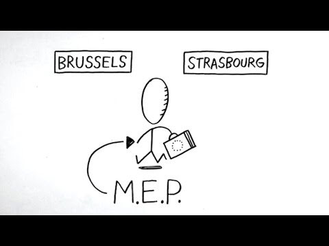 What is an MEP?