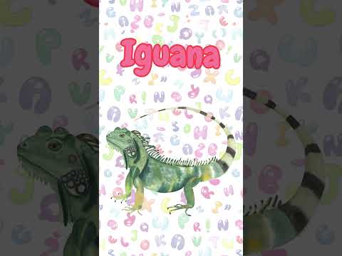 I is for: Animals beginning with I.