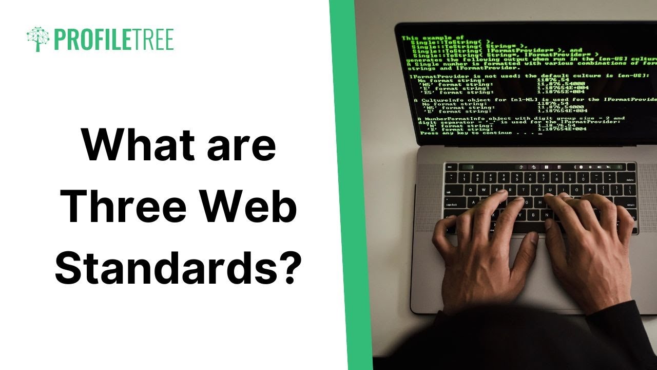 What are Three Web Standards? | Build a Website | Web Development | Business Website
