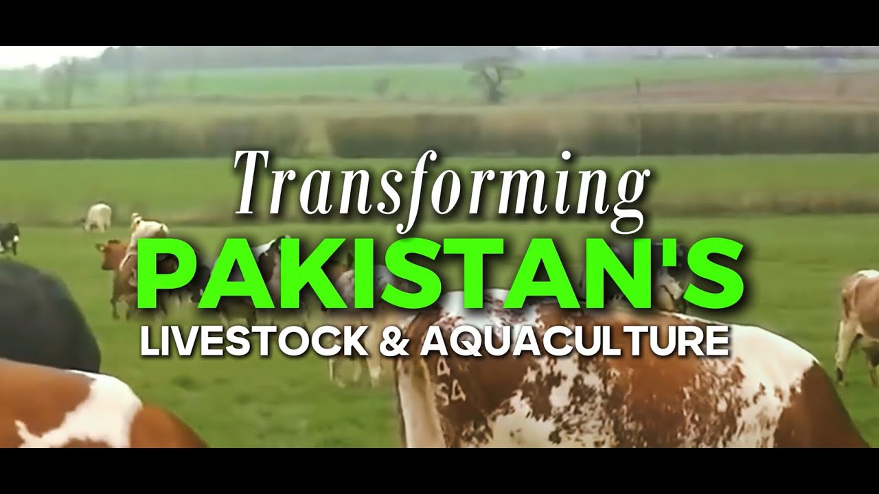 Introducing GCLI: The Green Corporate Livestock Initiative! 🌍🐄💚