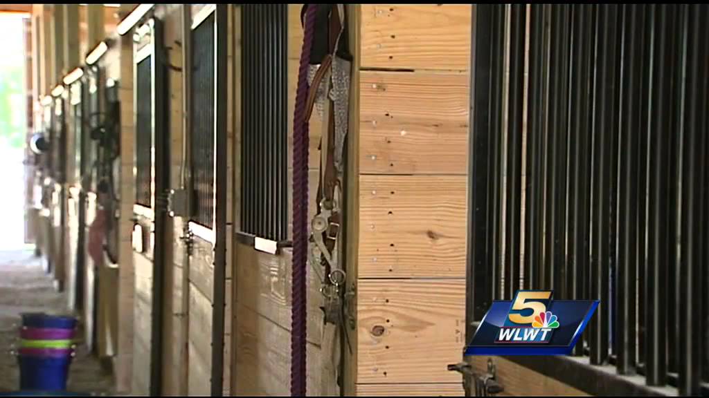 Camp Ernst ready to welcome campers after $4M renovation