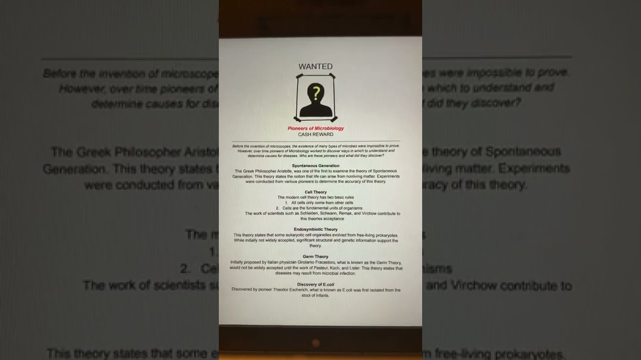 Unit 3 Digital Portfolio Project