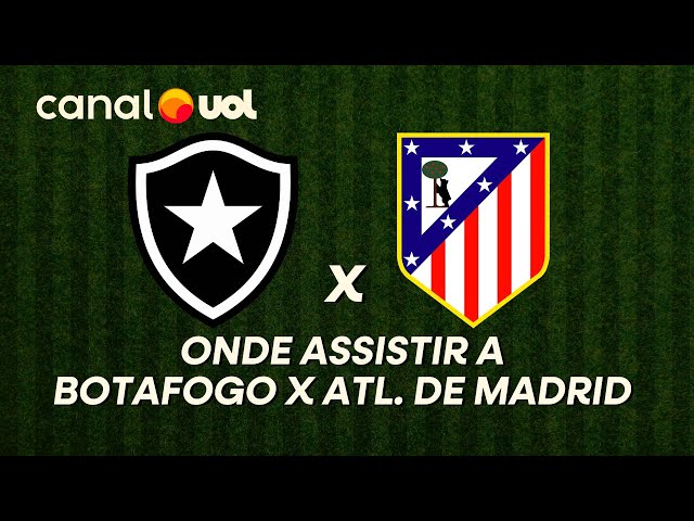 Jogo do Botafogo hoje (23) no Mundial de Clubes: horário e onde ...