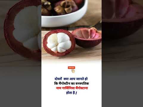 Mangosteen botanical name #shorts agriculture
