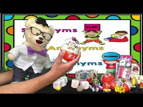 Synonyms, Antonyms, Homonyms with Chumsky Bear | Kinder Surprise Egg Open | Grammar Videos for Kids