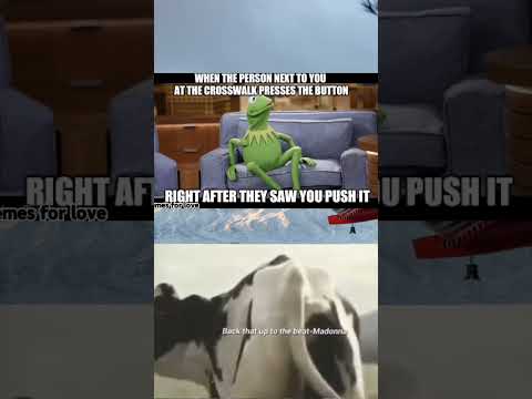 Gifs with sound