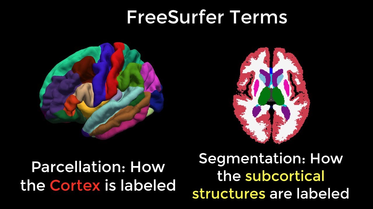 FreeSurfer  #1: Introduction