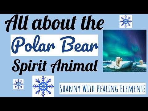 POLAR BEAR SPIRIT ANIMAL **Symbolism & Meaning of the Polar Bear Animal Spirit Energy / Totem**
