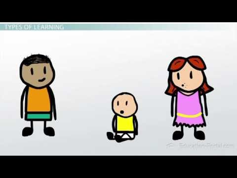 What is Learning? Understanding Effective Classroom Strategies