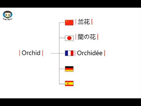 How to learn to Pronounce Orchid in German,French,Japanese,Chinese and Spanish