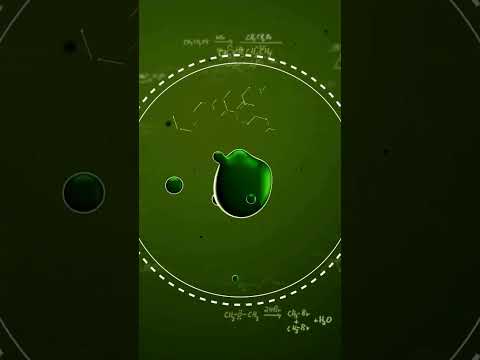 Top 5 Science News of October 2024