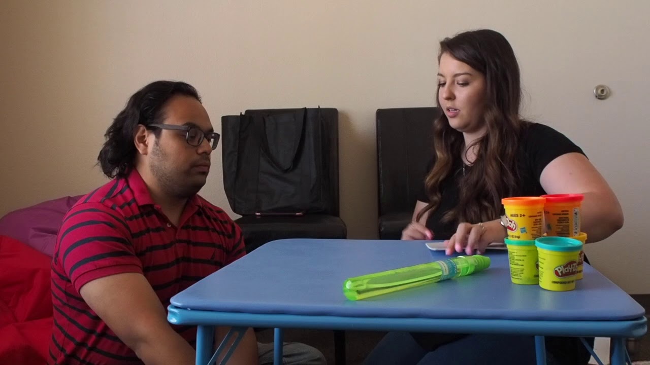 Errorless Learning (zero second delay)