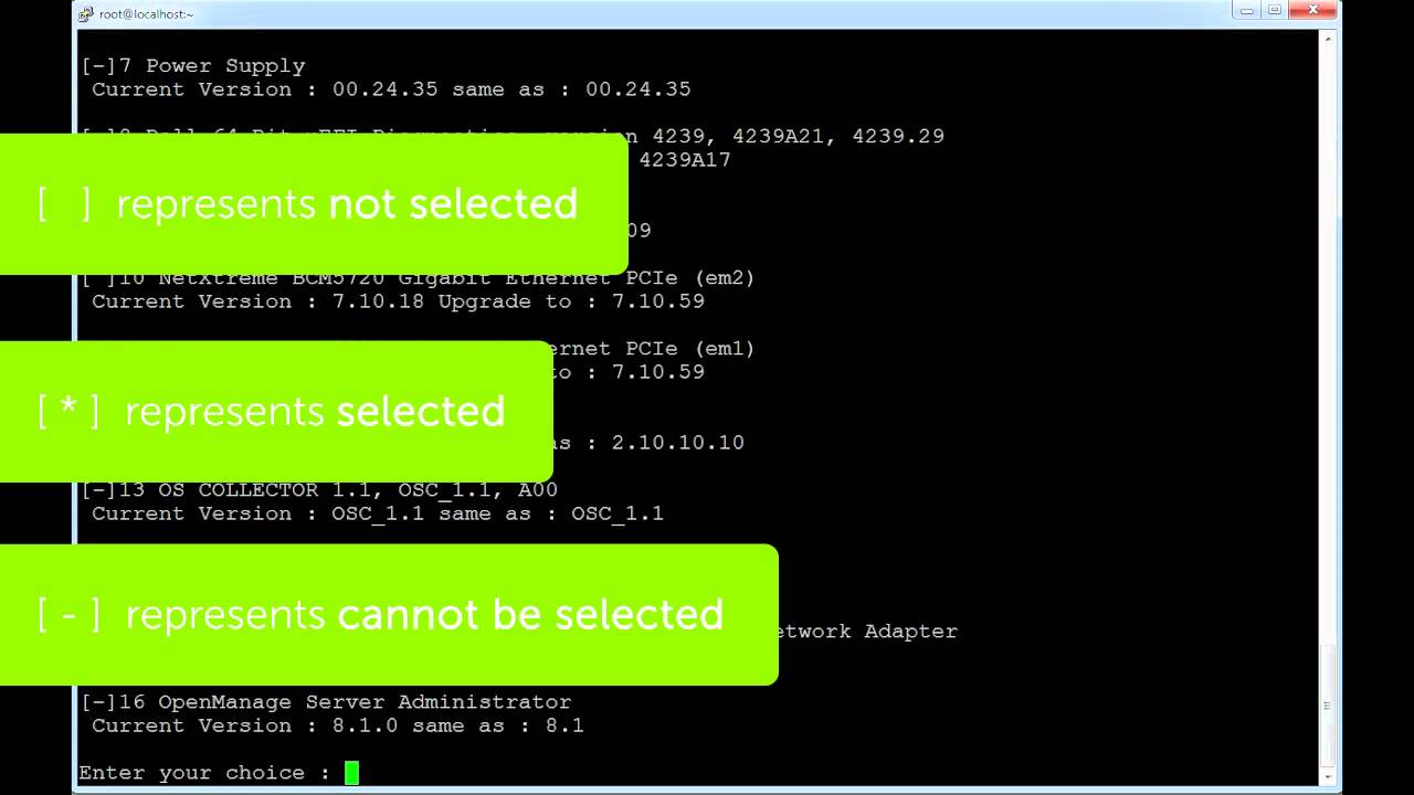 Dell System Update - Updating the System Components