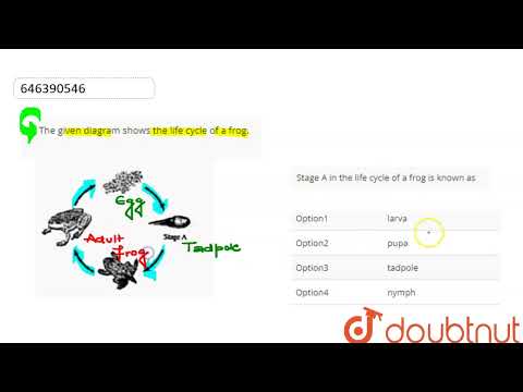 The given diagram shows the life cycle of a frog.Stage A in the life cycle of a frog is known as...