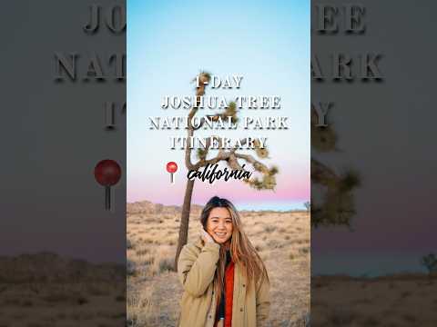 What to Do in Joshua Tree National Park Day Trip Itinerary 🌵