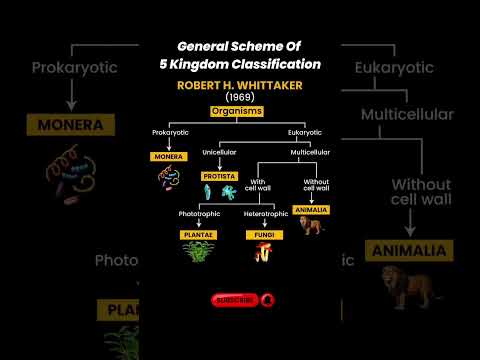 Mastering the 5 Kingdom Classification System | Quick Guide