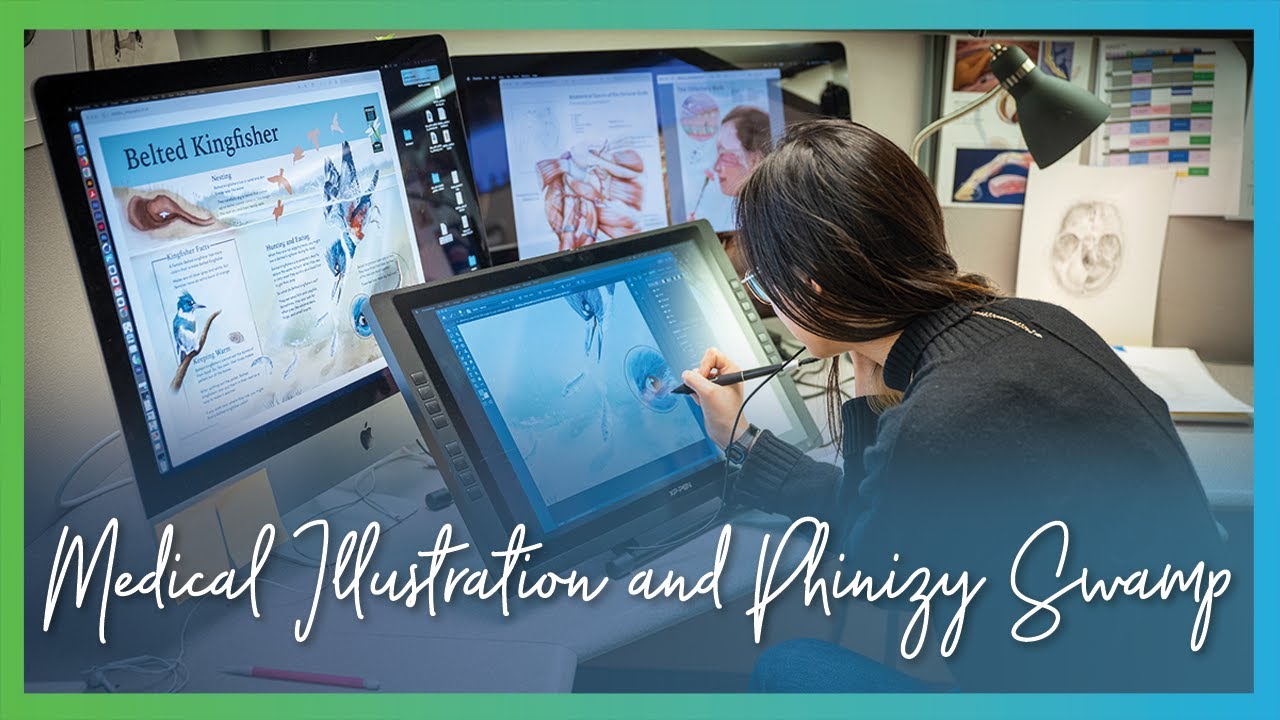 Medical Illustration program designs new kiosks for Phinizy Swamp Nature Center