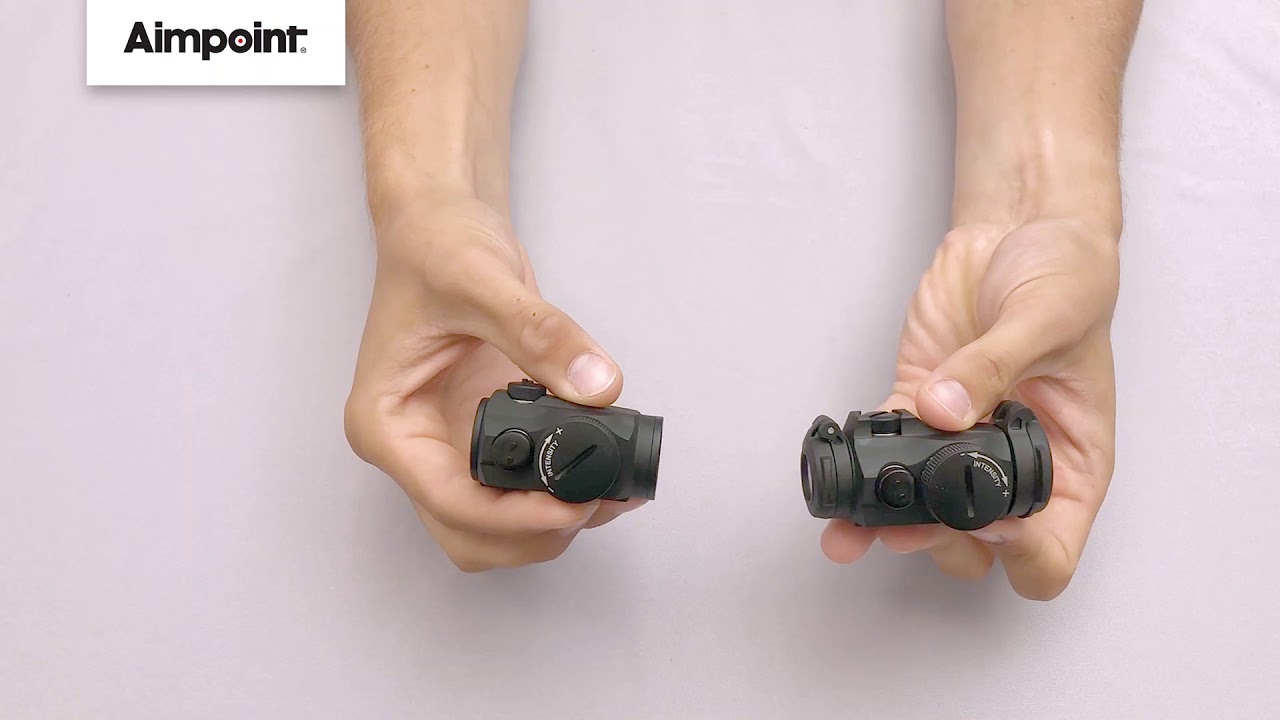 Quick Guide: Comparing Micro H-1 and Micro H-2