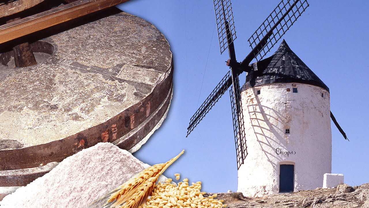 MOLINO DE VIENTO gigante para elaborar HARINA a través de la molienda ancestral del trigo