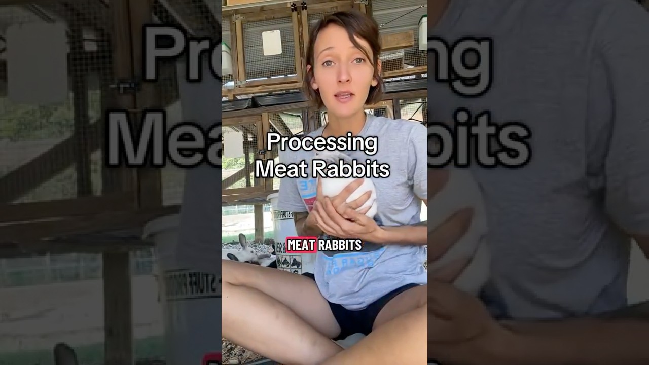 Processing rabbits step by step 🐇❄️ Clean, respectful, and homestead-friendly — practical skills