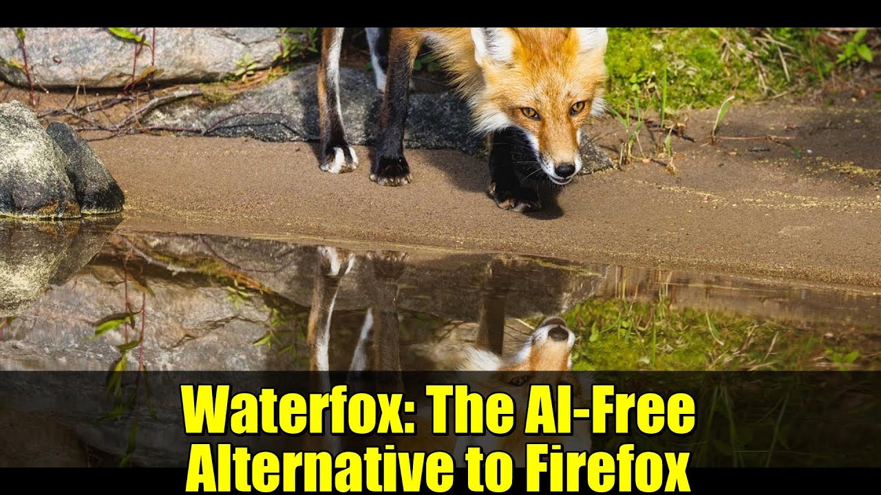 Waterfox: The AI-Free Alternative to Firefox