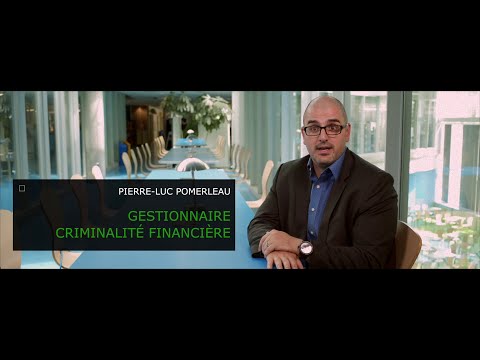 Carrières en cyberfraude: gestionnaire en criminalité financière