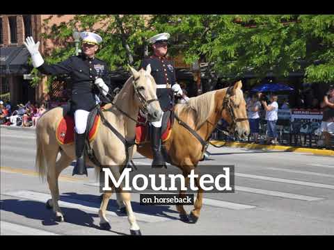 What is Mounted? | How Does Mounted Look? | How to Say Mounted in English?