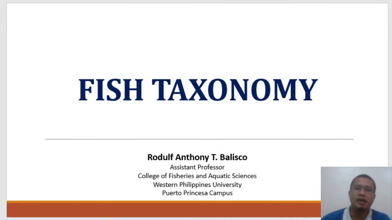 Fish Taxonomy and Identification - Part 1/3 [Fishy Matters - Episode 13]