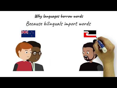 Why do languages borrow words?
